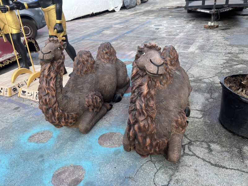 Animal Props Archives ⋆ Movie Prop Rentals